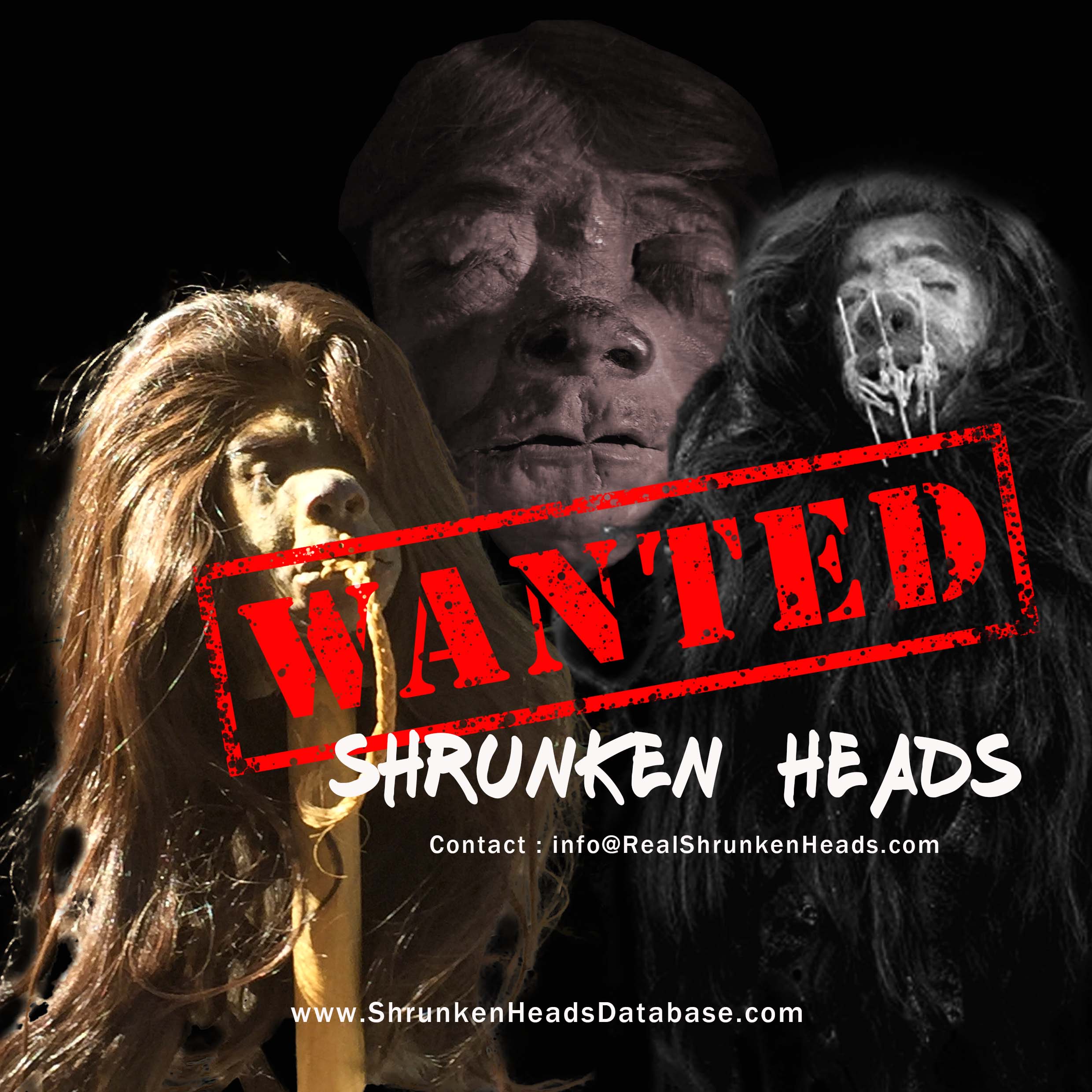 Contact Us - Shrunken Heads Database TSANTSA
